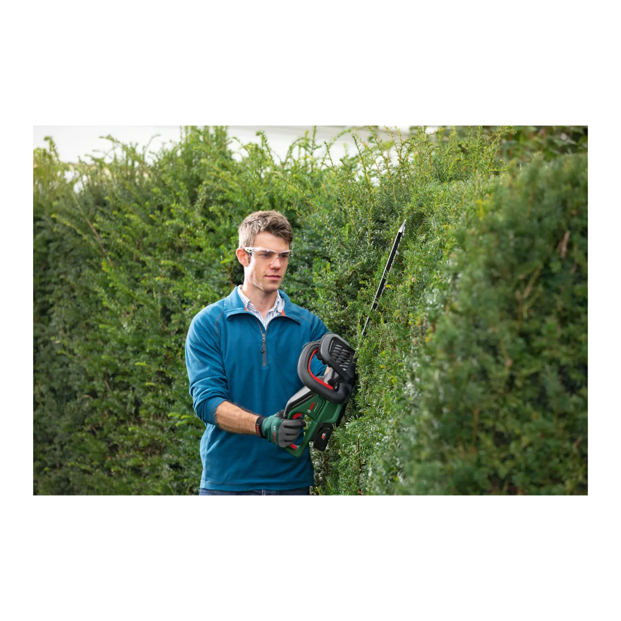 Bosch UniversalHedgeCut 18V-55 Cordless Hedge Cutter, Forest Green ...